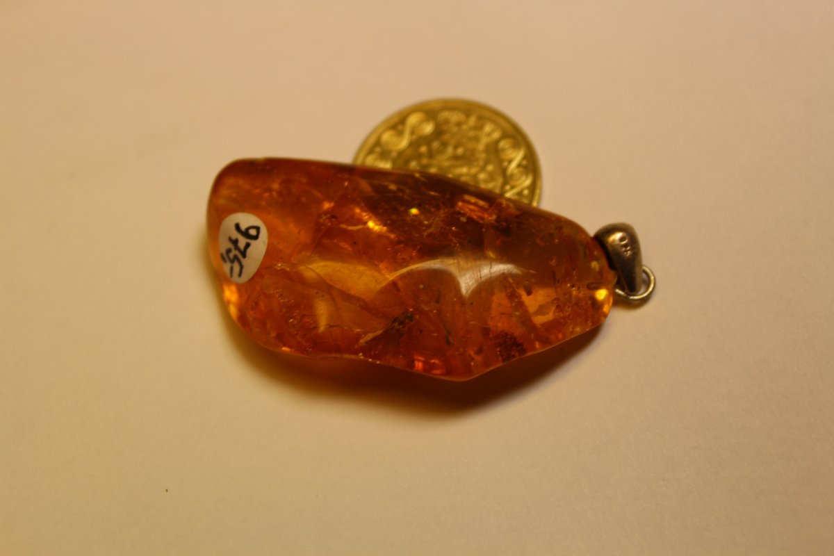 Insektrav - Insektrav - Ravsliberen/Frants